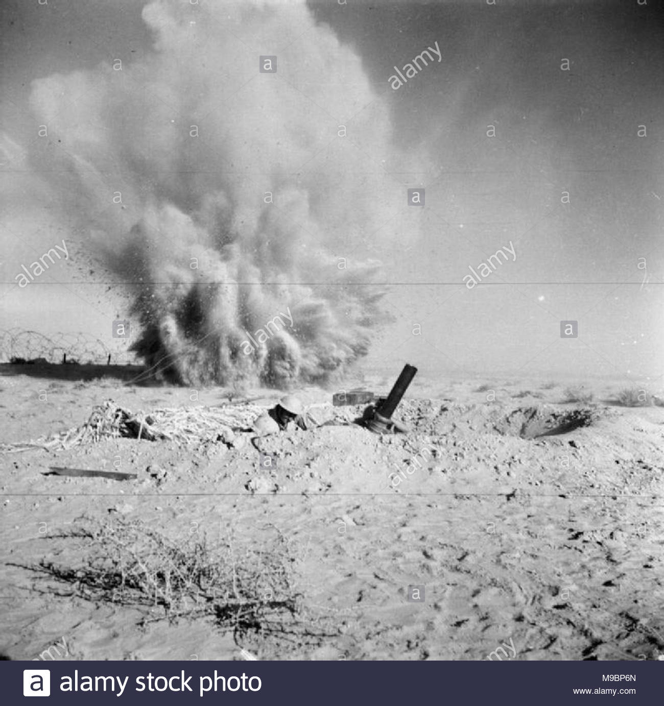 Shell Burst Stock Photos & Shell Burst Stock Images - Alamy