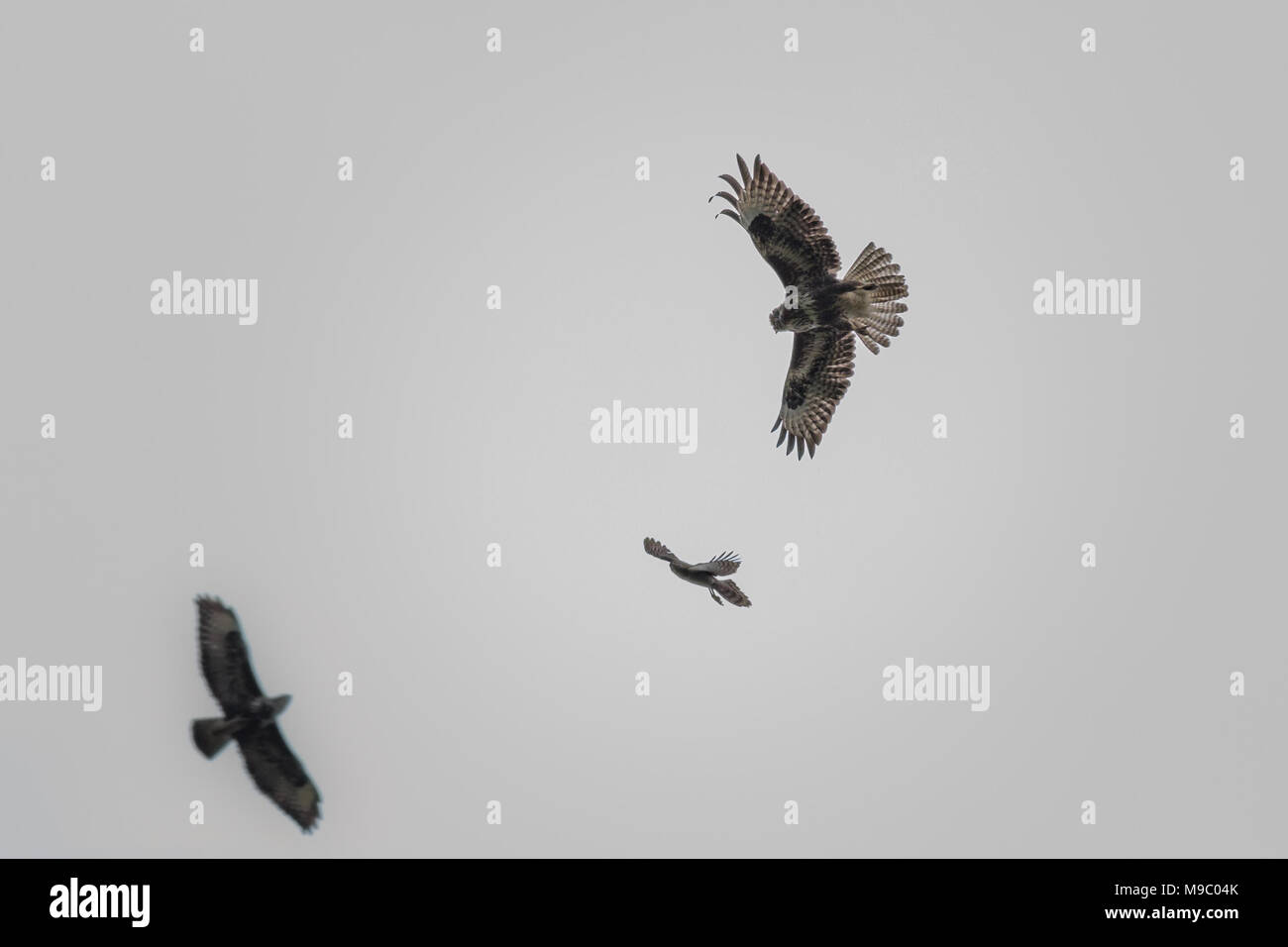 From burley in wharfedale hi-res stock photography and images - Alamy
