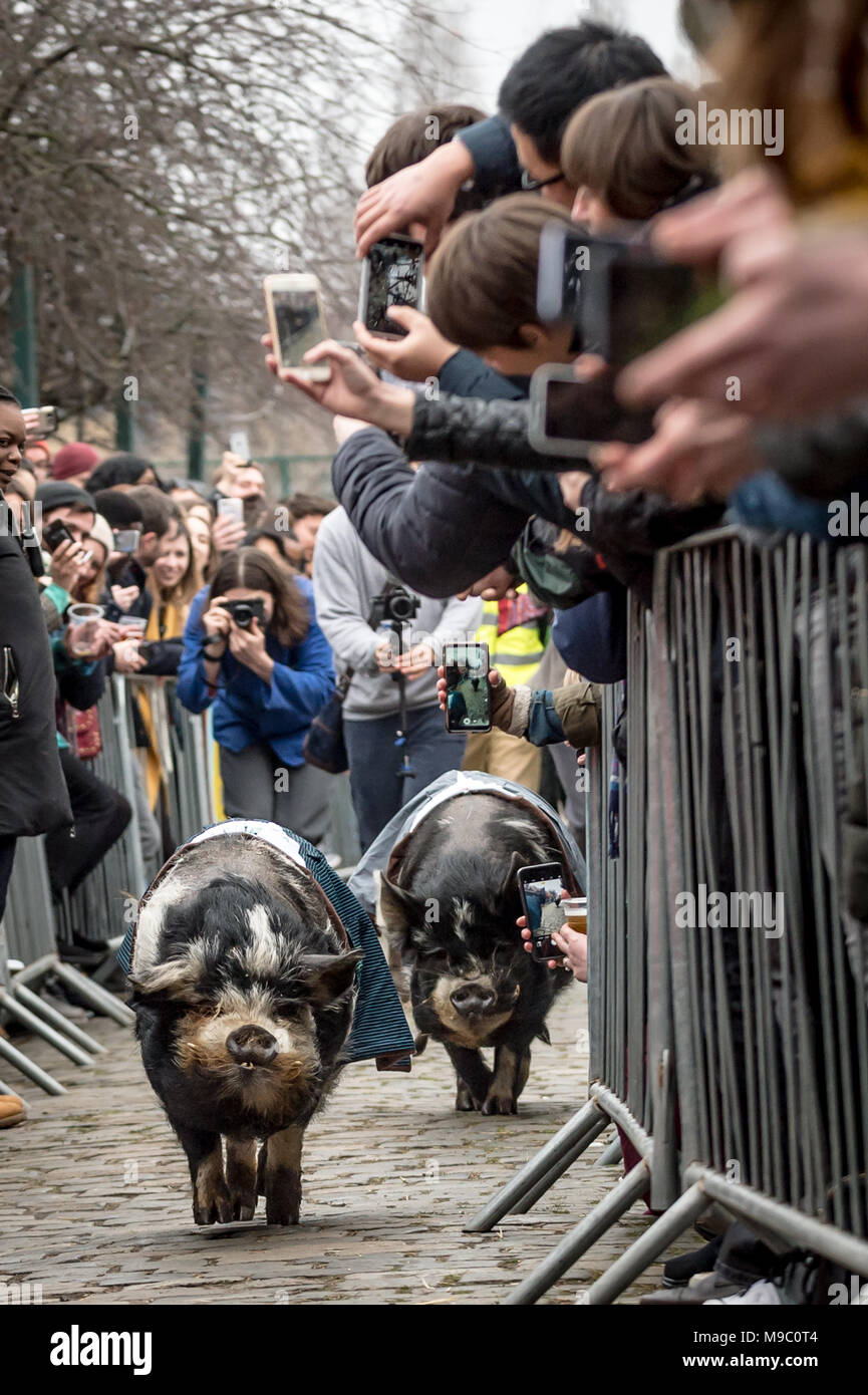 Shoat race hi-res stock photography and images - Alamy