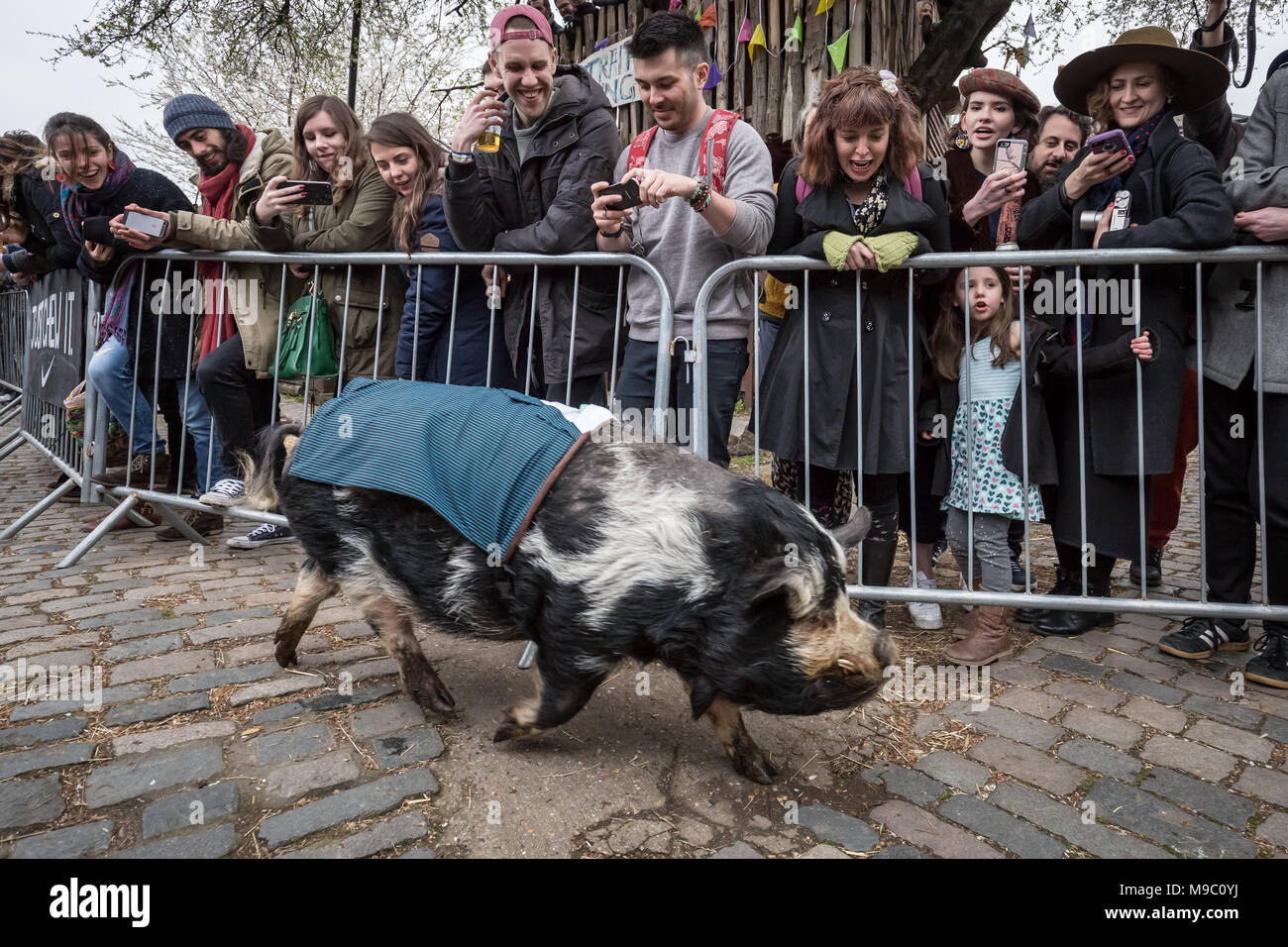 Shoat hi-res stock photography and images - Alamy