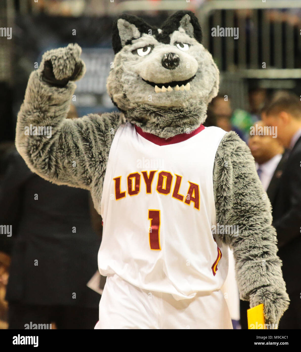 Georgia state university mascot hi-res stock photography and images - Alamy