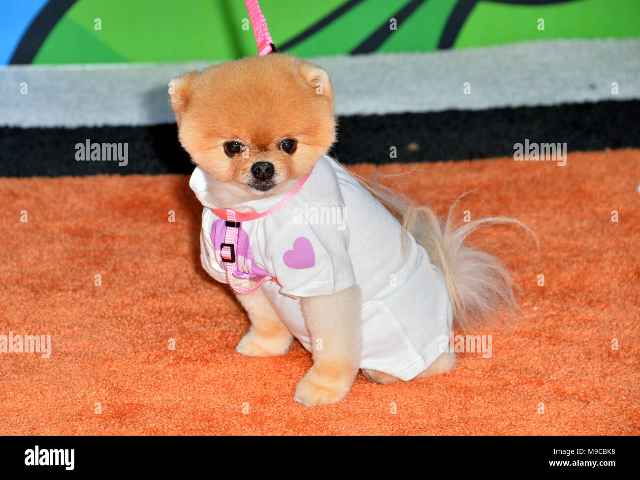 LOS ANGELES, CA. March 24, 2018: JiffPom at Nickelodeon's 2018 Kids ...