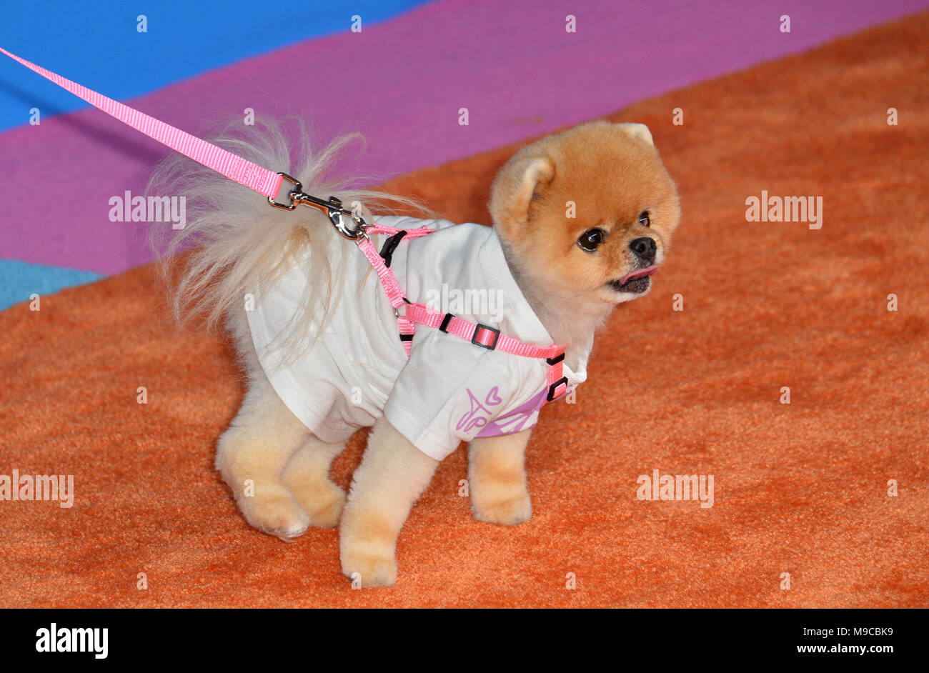 LOS ANGELES, CA. March 24, 2018: JiffPom at Nickelodeon's 2018 Kids ...