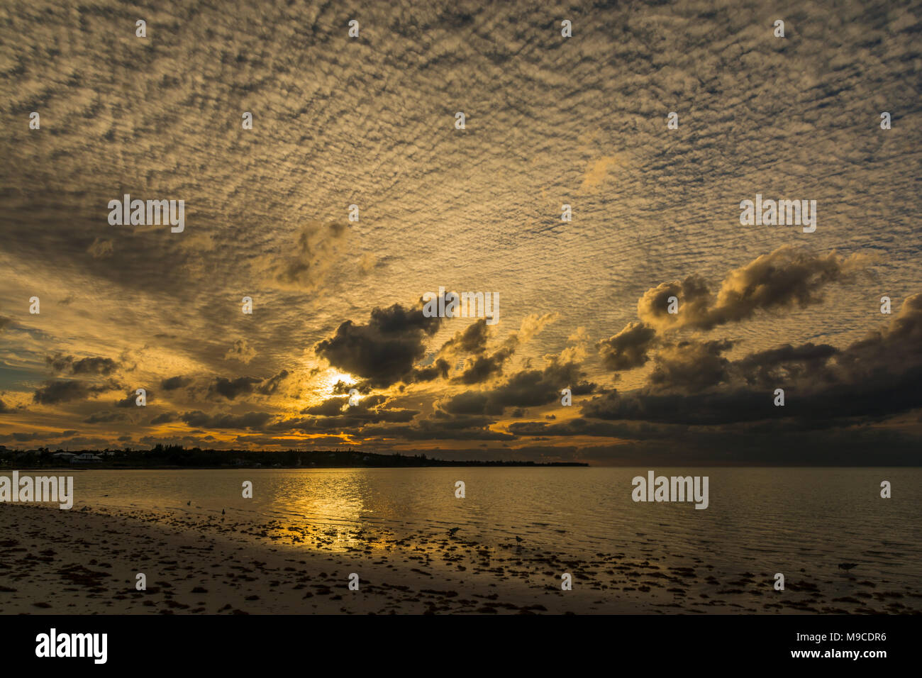 Bahamian Beach Sunset featuring high contrast sky with beautiful ...