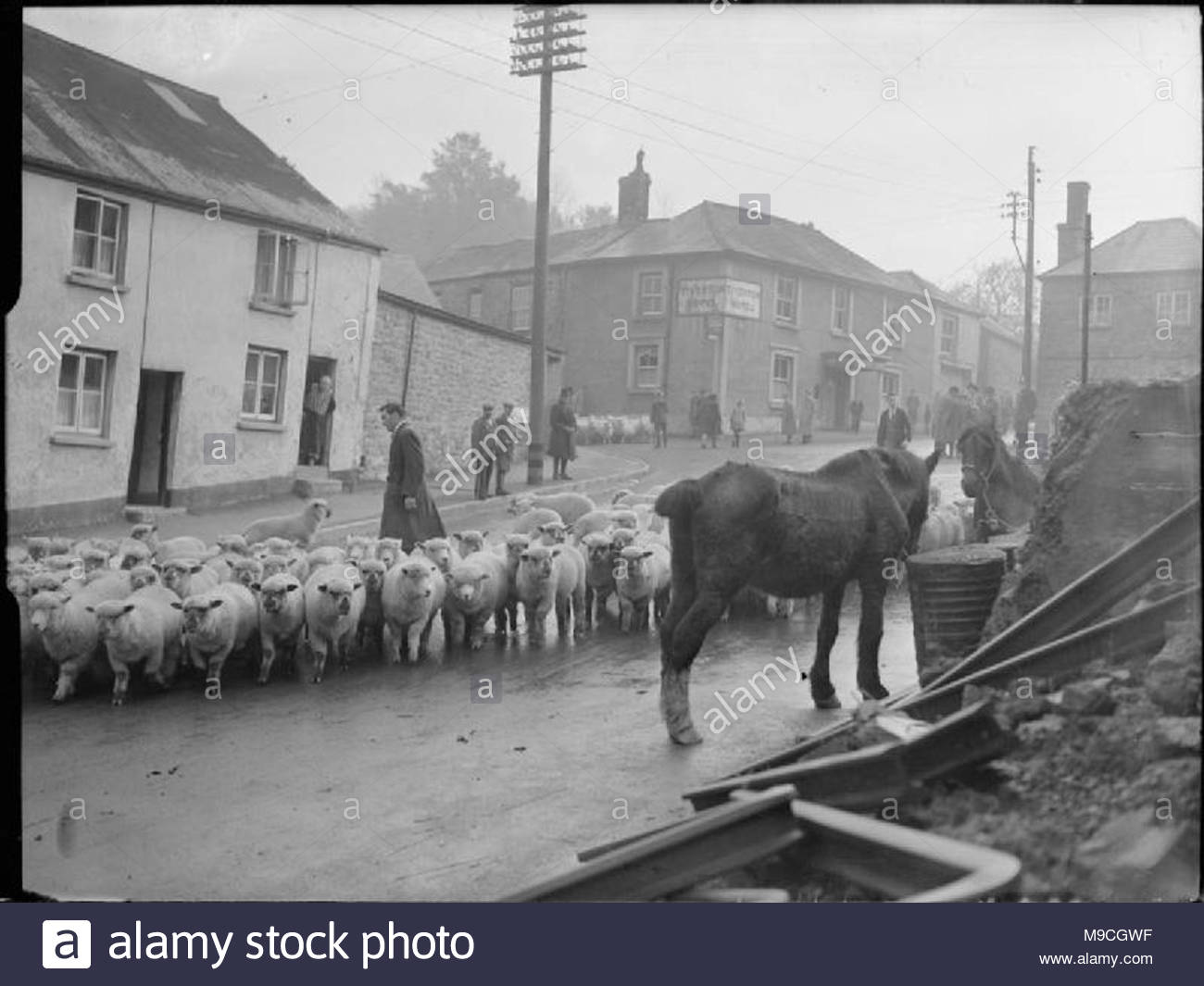 Bampton Devon Village Stock Photos & Bampton Devon Village Stock Images ...