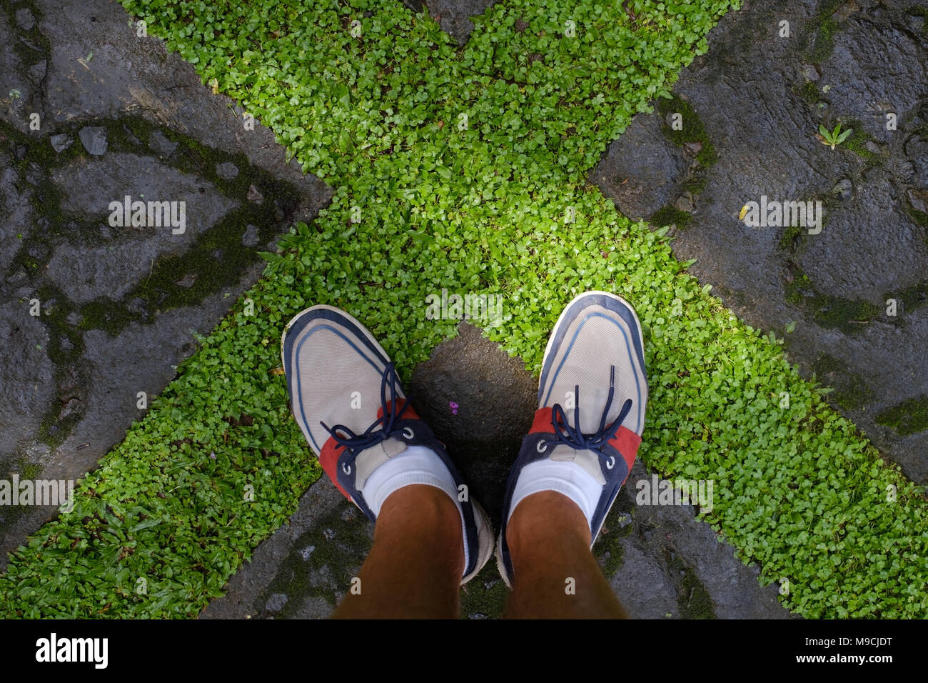 Stand foot hi-res stock photography and images - Alamy