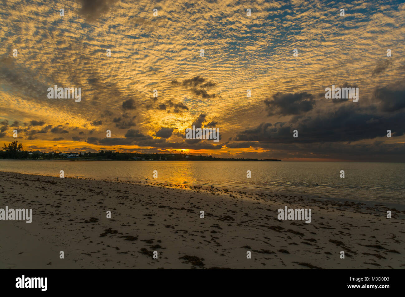 Bahamian Beach Sunset featuring high contrast sky with beautiful ...