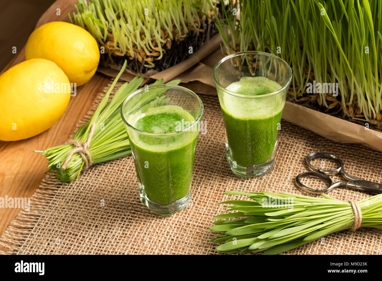 Two barley grass shots with freshly grown barley grass Stock Photo - Alamy