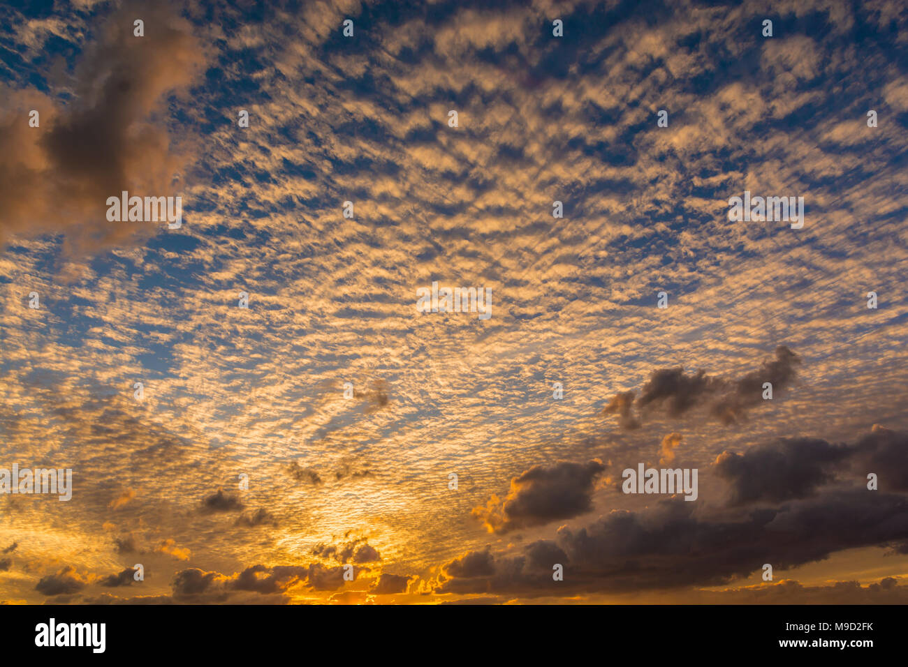 Bahamian Beach Sunset featuring high contrast sky with beautiful ...
