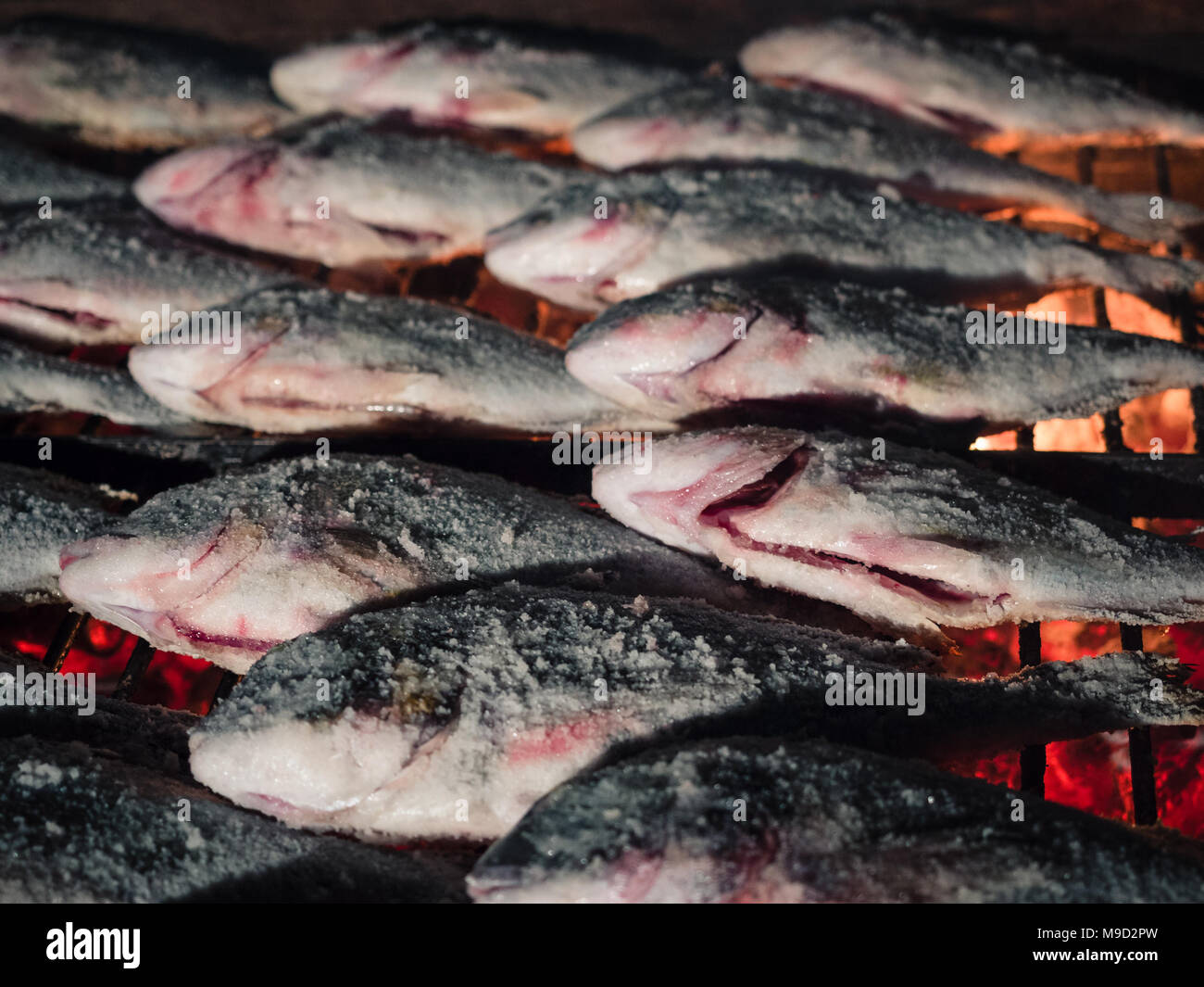 Sea bream sprinkled with salt and cooked on the grill in a beach ...