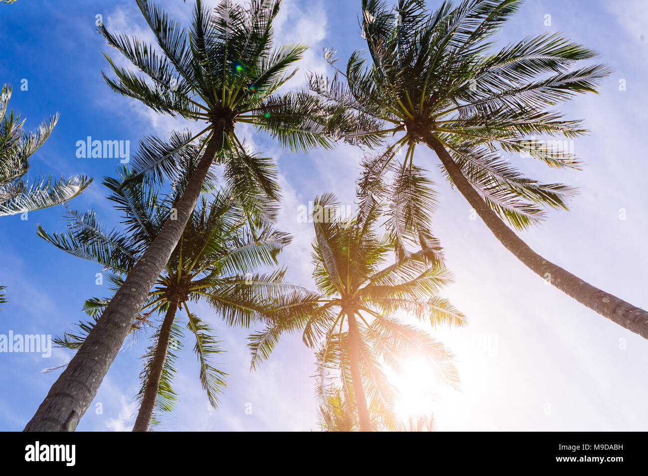 Equator Sunrise Stock Photos & Equator Sunrise Stock Images - Alamy