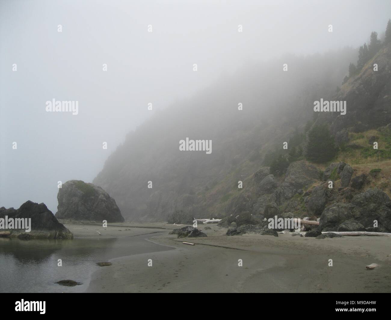 Cyndee brown hi-res stock photography and images - Alamy