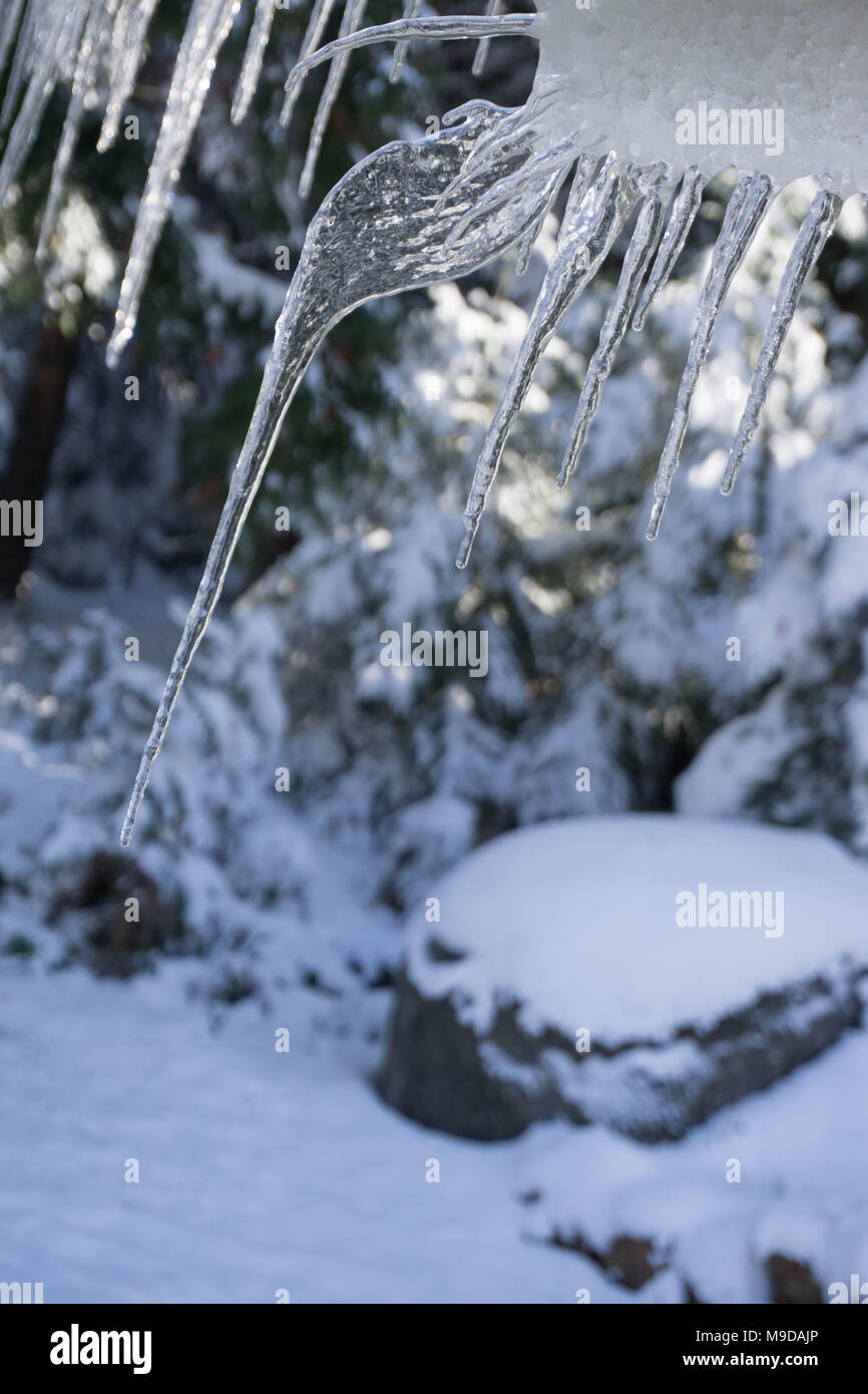 Cyndee brown hi-res stock photography and images - Alamy