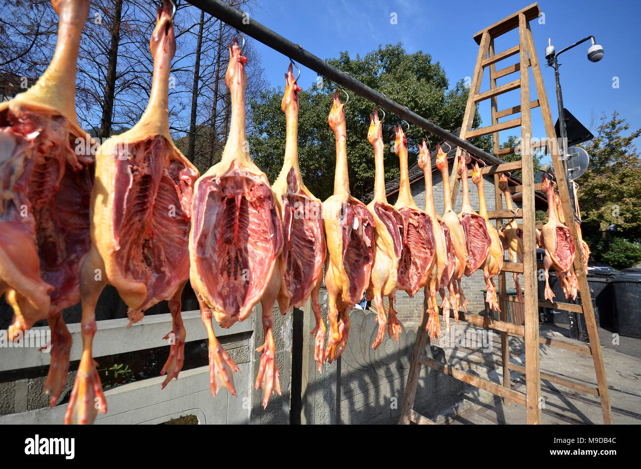 Waxed duck hi-res stock photography and images - Alamy