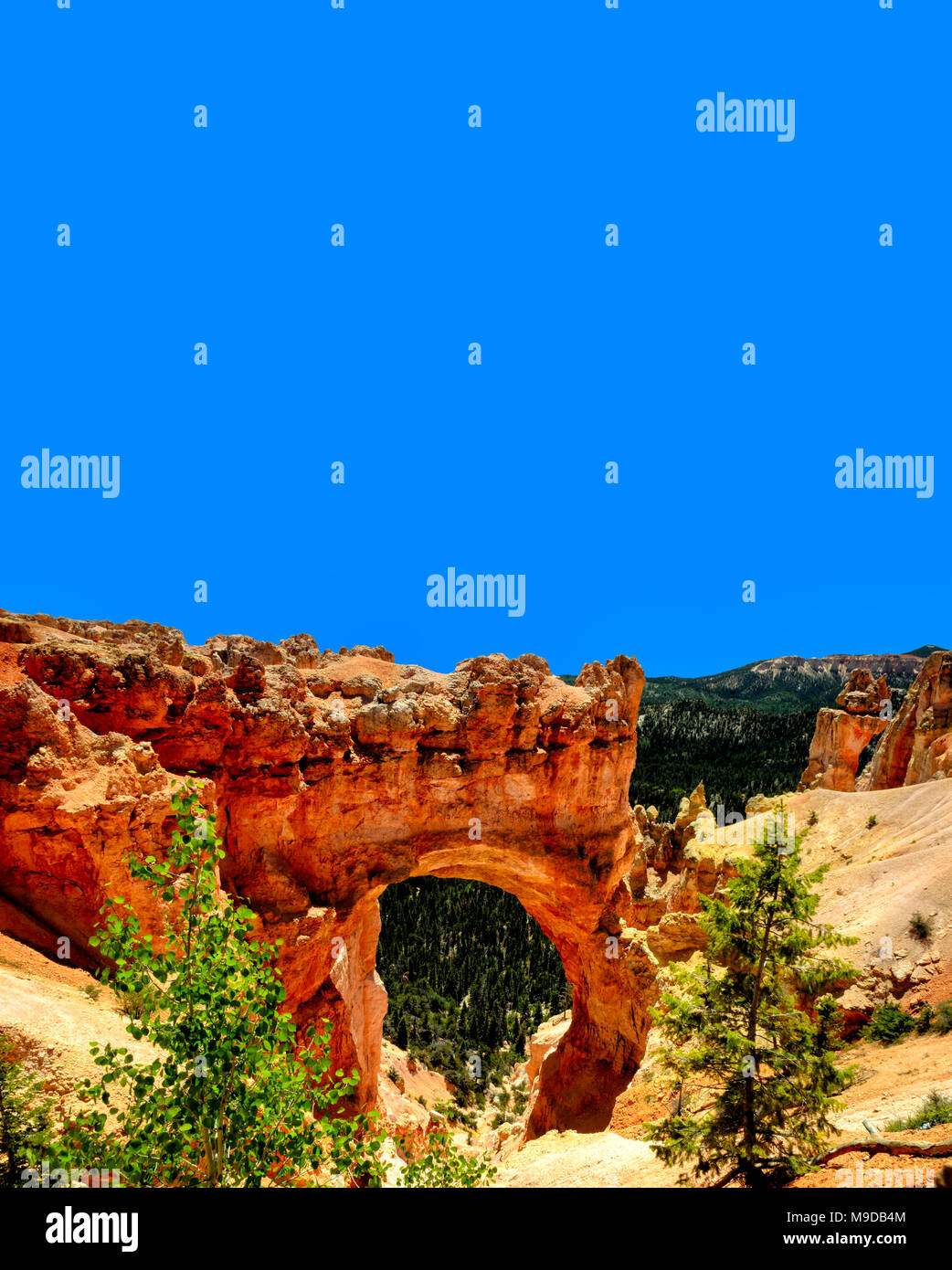 Natural red & orange sandstone arch under blues sky with green trees ...