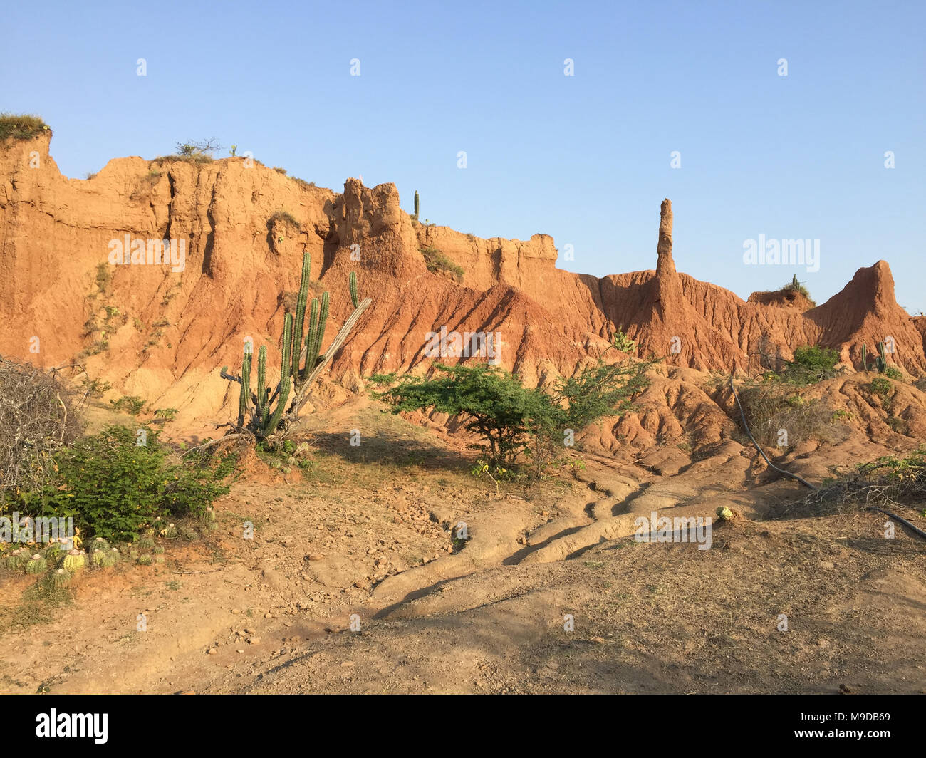 scenic desert landscape - mountains, vally blue sky and cactus Stock ...