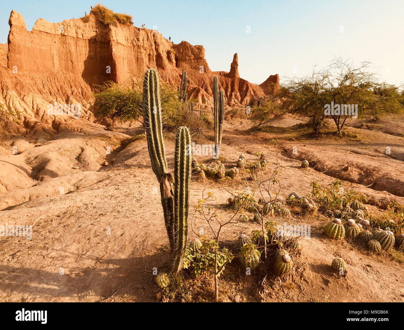 scenic desert landscape - mountains, vally blue sky and cactus Stock ...