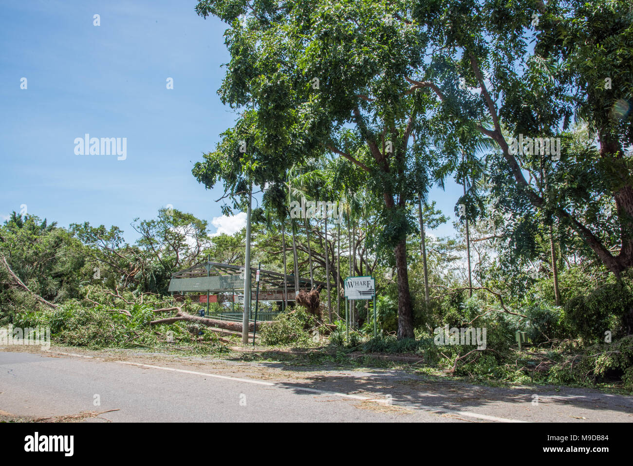 Darwin,Northern Territory,Australia-March 18,2018:Tree damage after ...