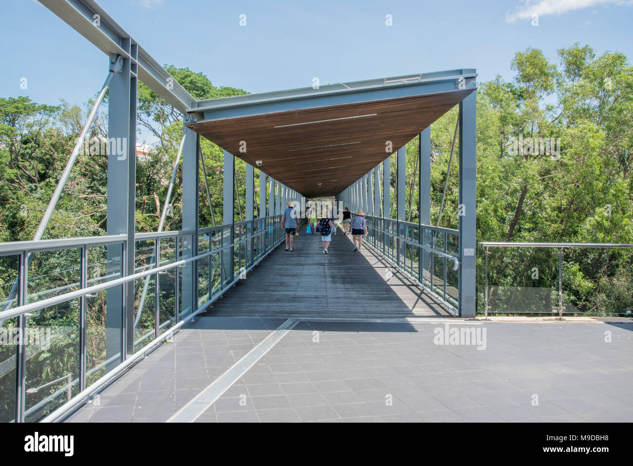Bridge in tree tops hi-res stock photography and images - Alamy