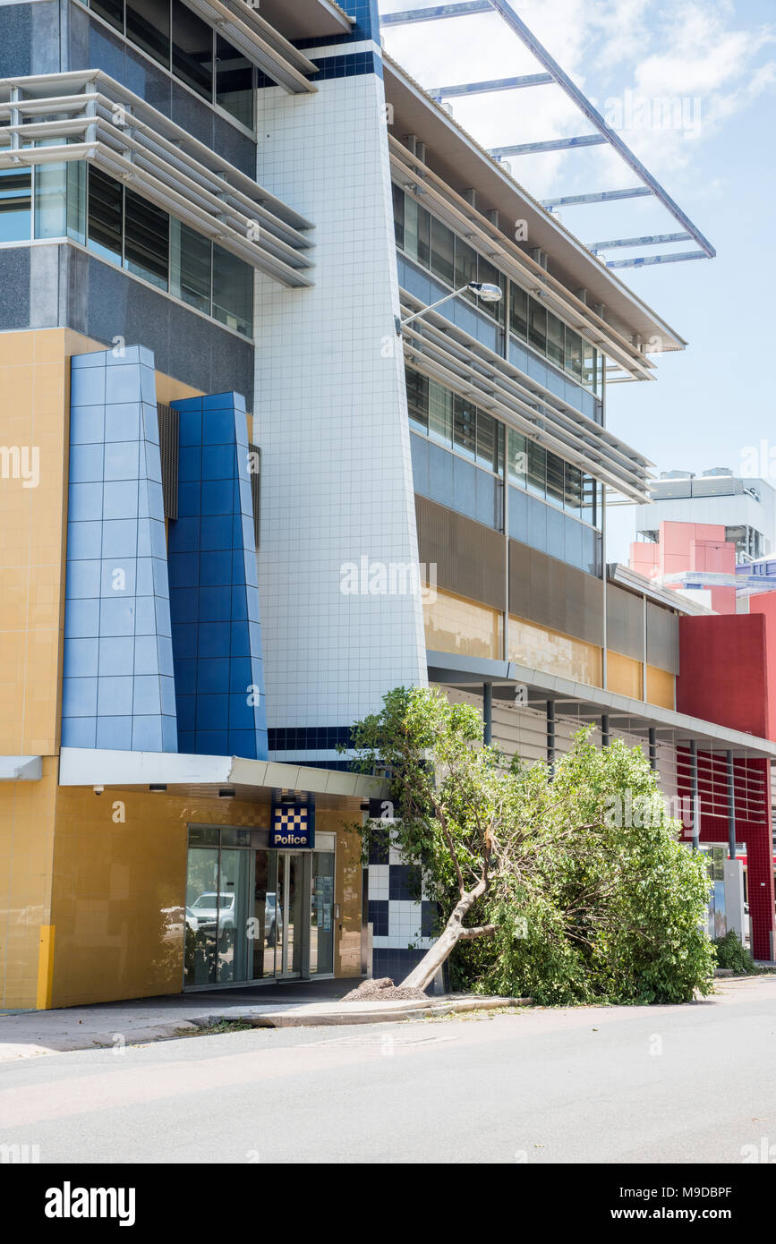 Darwin,Northern Territory,Australia-March 18,2018: Fallen tree after ...