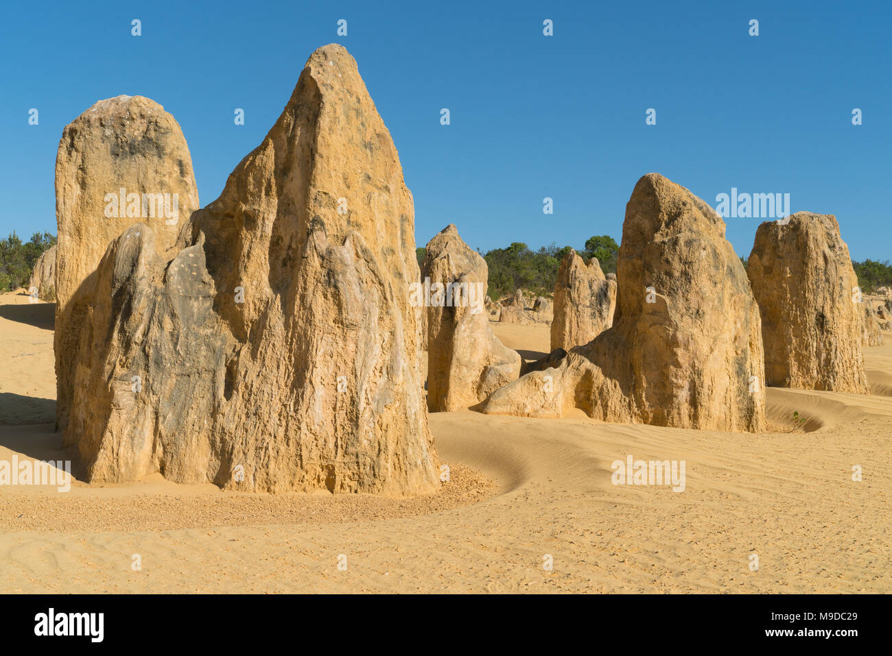 Pinnacles Desert, Nambung National Park, Western Australia Stock Photo ...