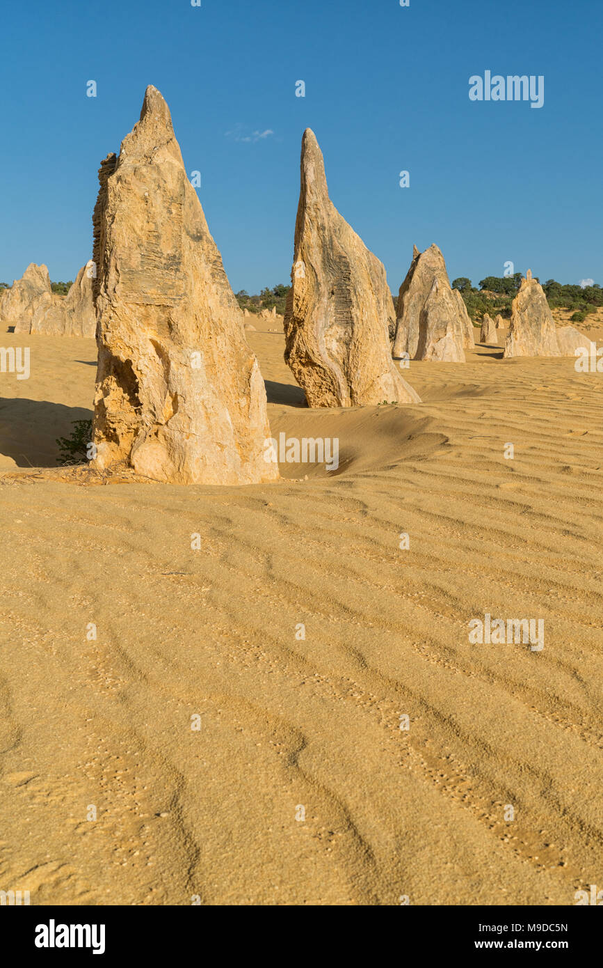 Pinnacles Desert, Nambung National Park, Western Australia Stock Photo ...