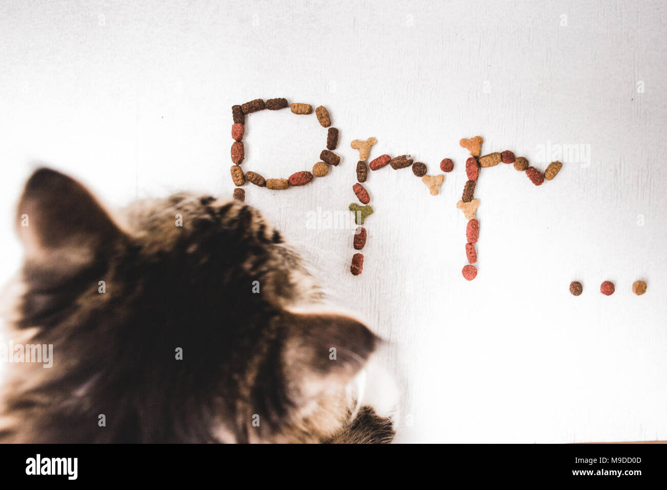 Bowl dog letters hi-res stock photography and images - Alamy