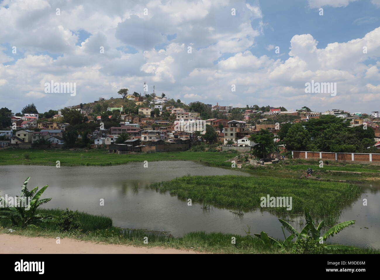 Colorful countryside of Madagascar island. Fresh field and grass ...