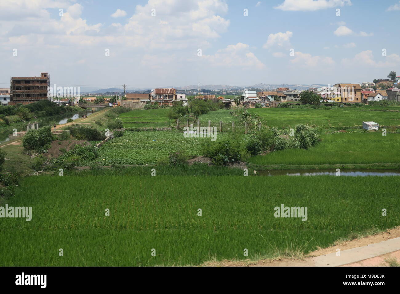 Colorful countryside of Madagascar island. Fresh field and grass ...