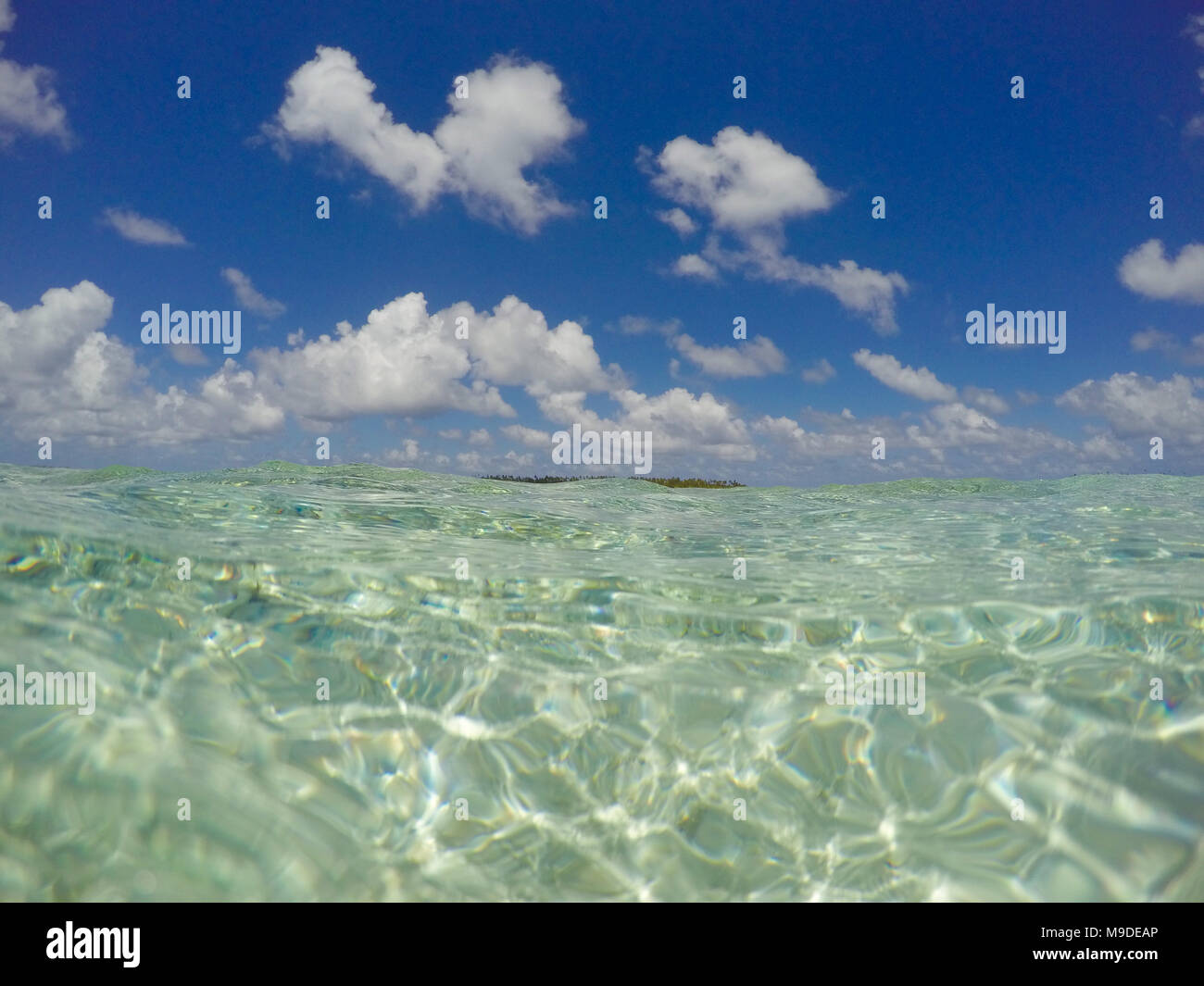 Clear underwater surface hi-res stock photography and images - Alamy
