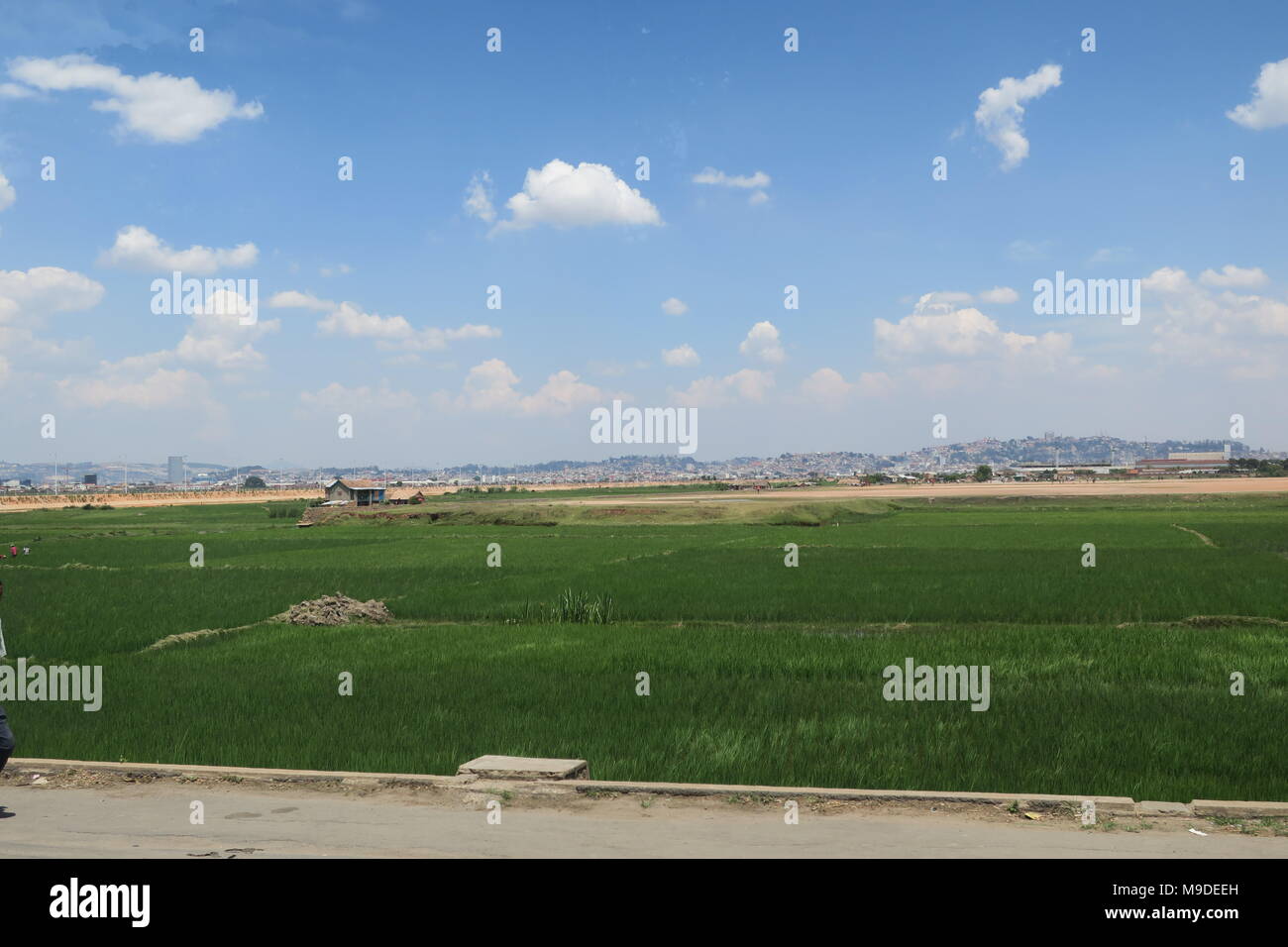 Colorful countryside of Madagascar island. Fresh field and grass ...