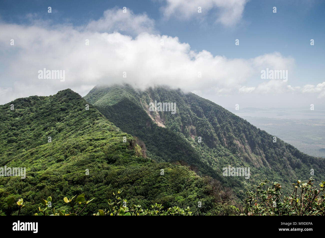 The summit of Mombacho Volcano in Mombacho Volcano Nature Reserve ...