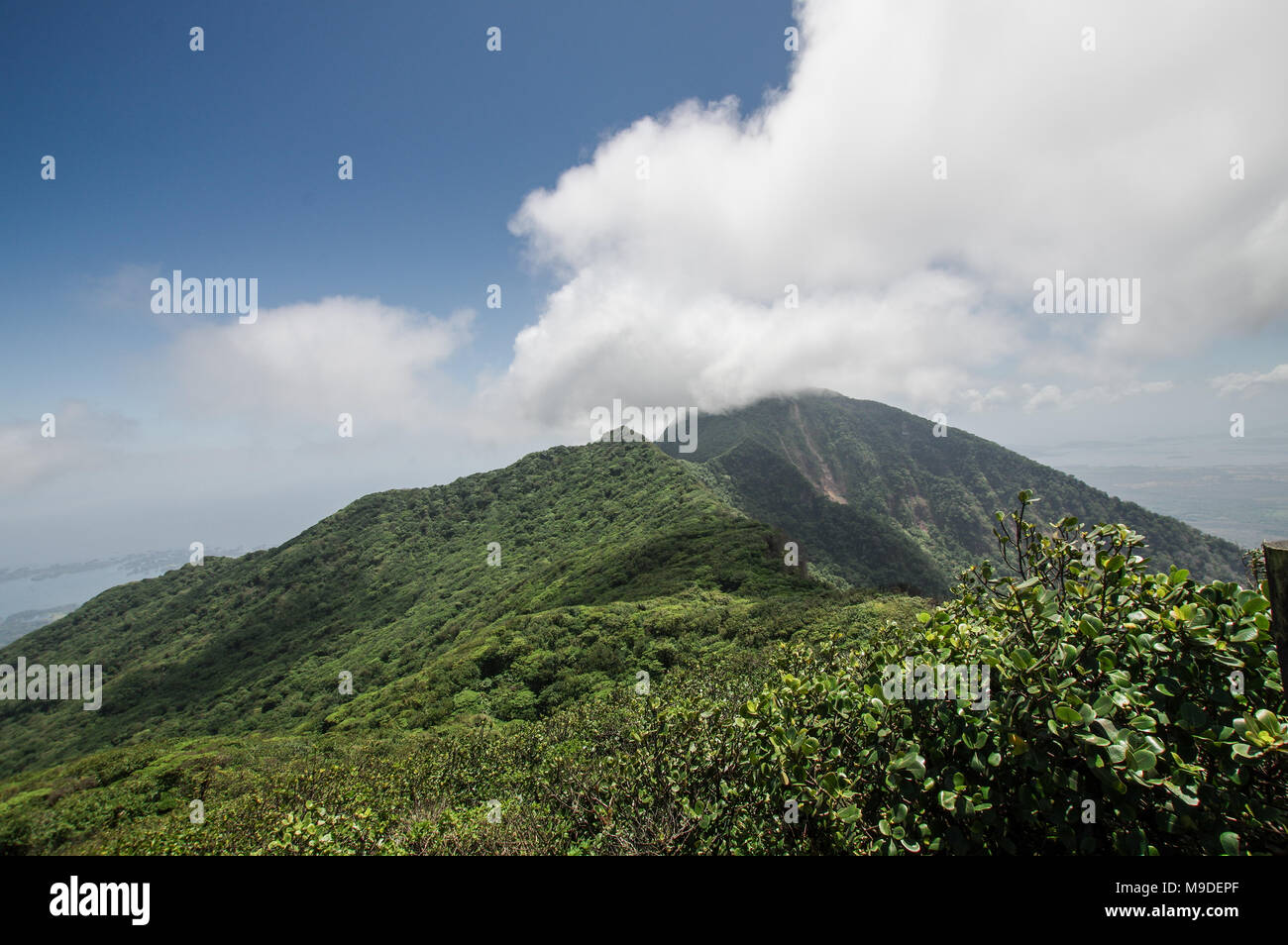 The summit of Mombacho Volcano in Mombacho Volcano Nature Reserve ...
