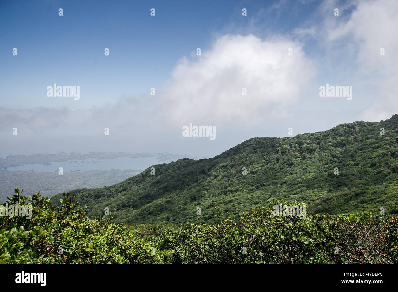 The summit of Mombacho Volcano in Mombacho Volcano Nature Reserve ...
