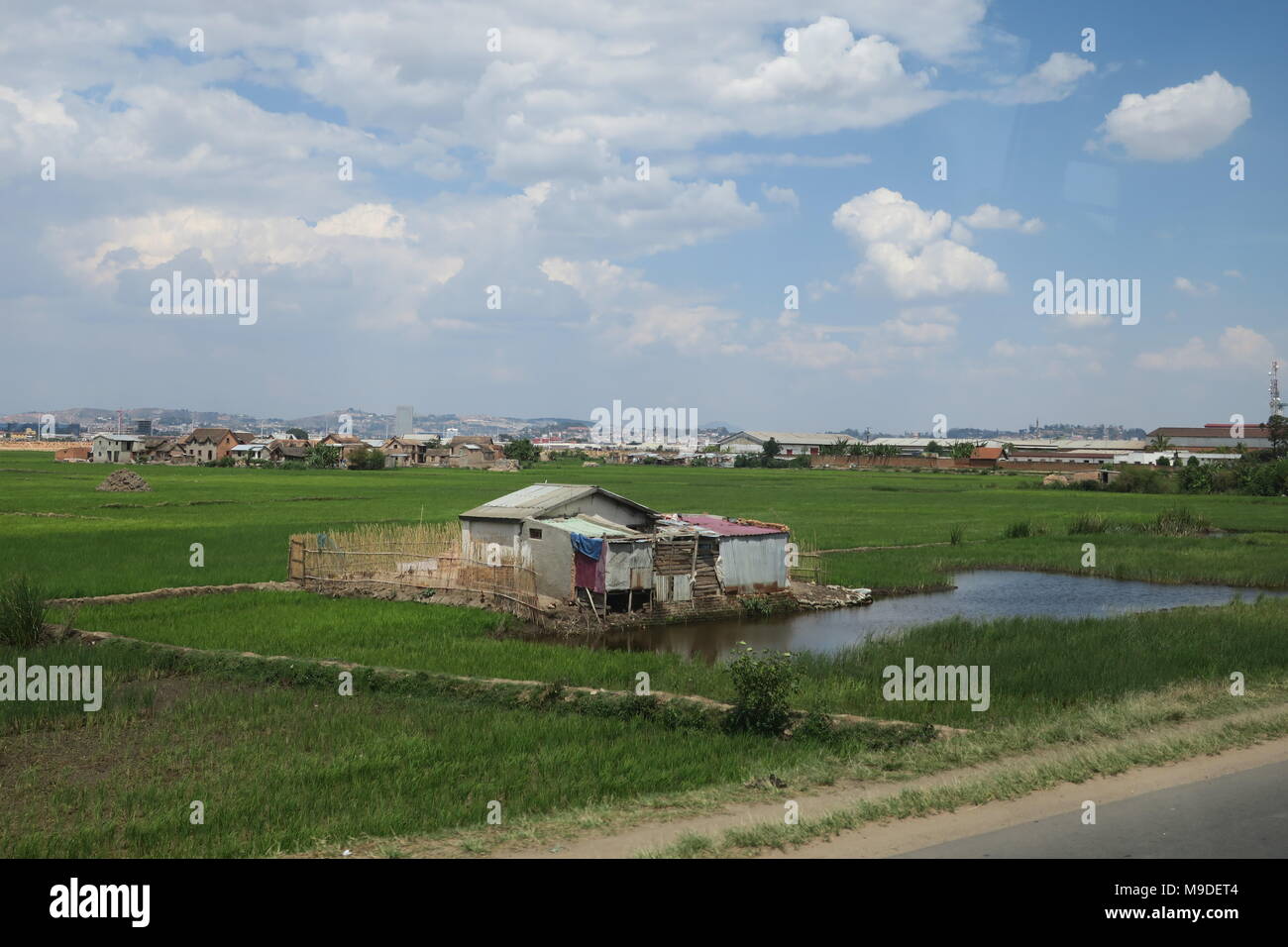 Colorful countryside of Madagascar island. Fresh field and grass ...
