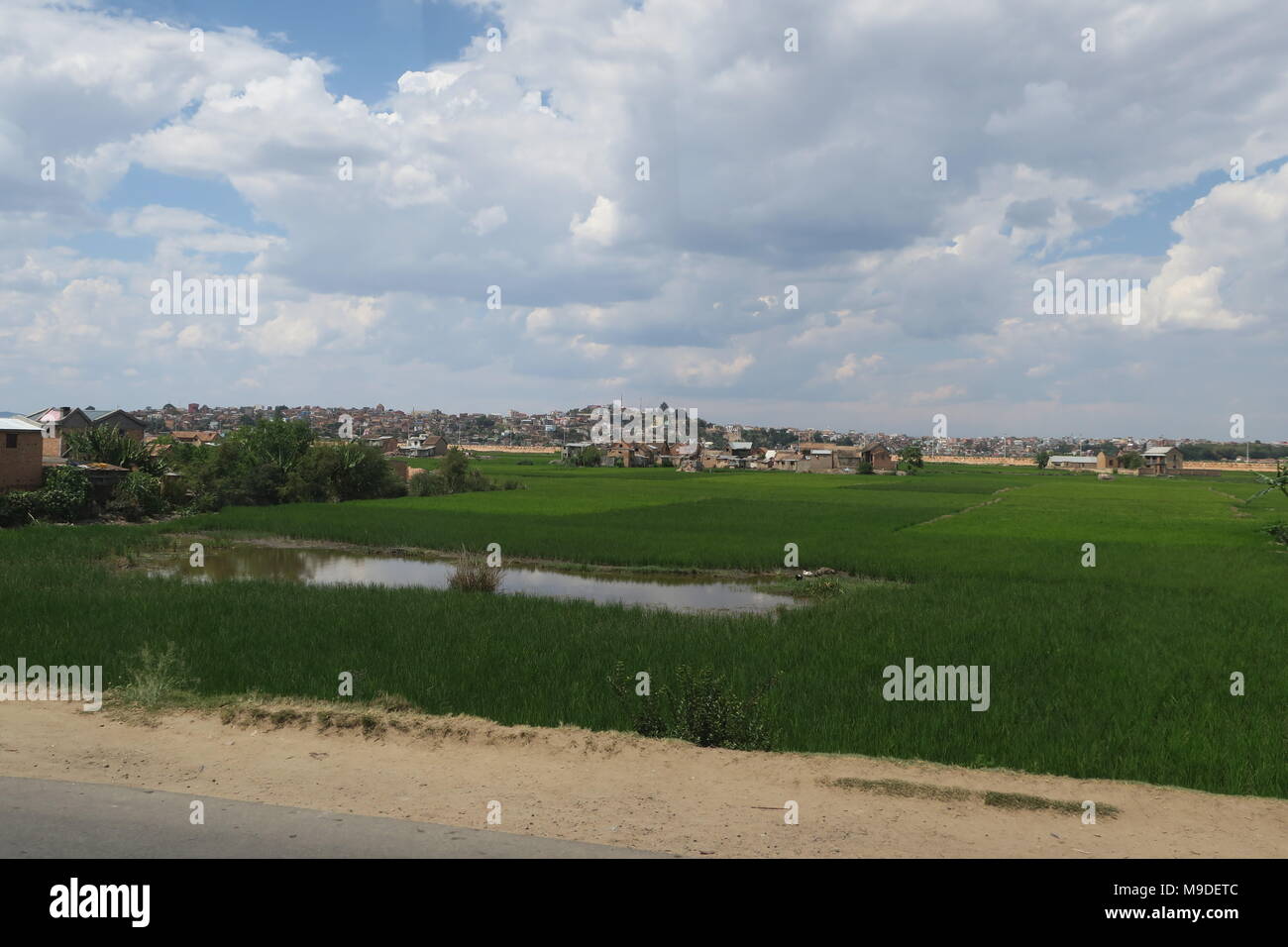 Colorful countryside of Madagascar island. Fresh field and grass ...