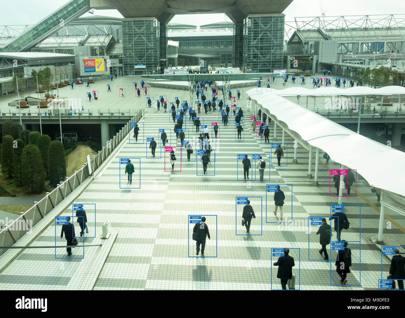 iot machine learning with human and object recognition which use ...