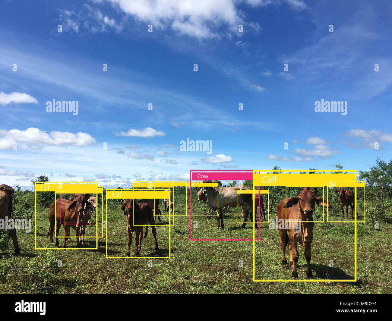 iot machine learning with human and object recognition which use ...