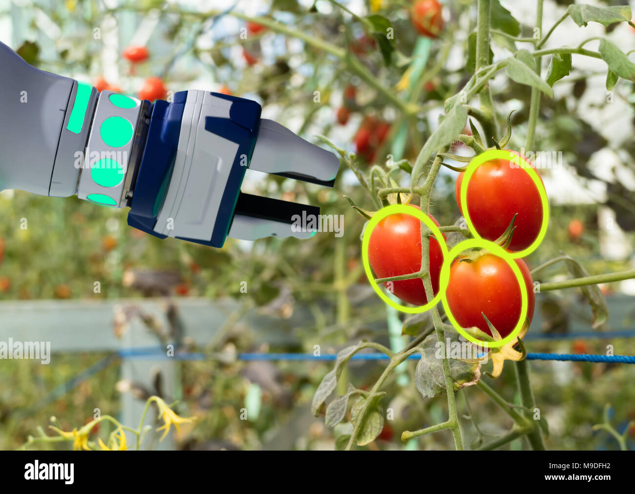 smart robotic in agriculture futuristic concept, robot farmers ...