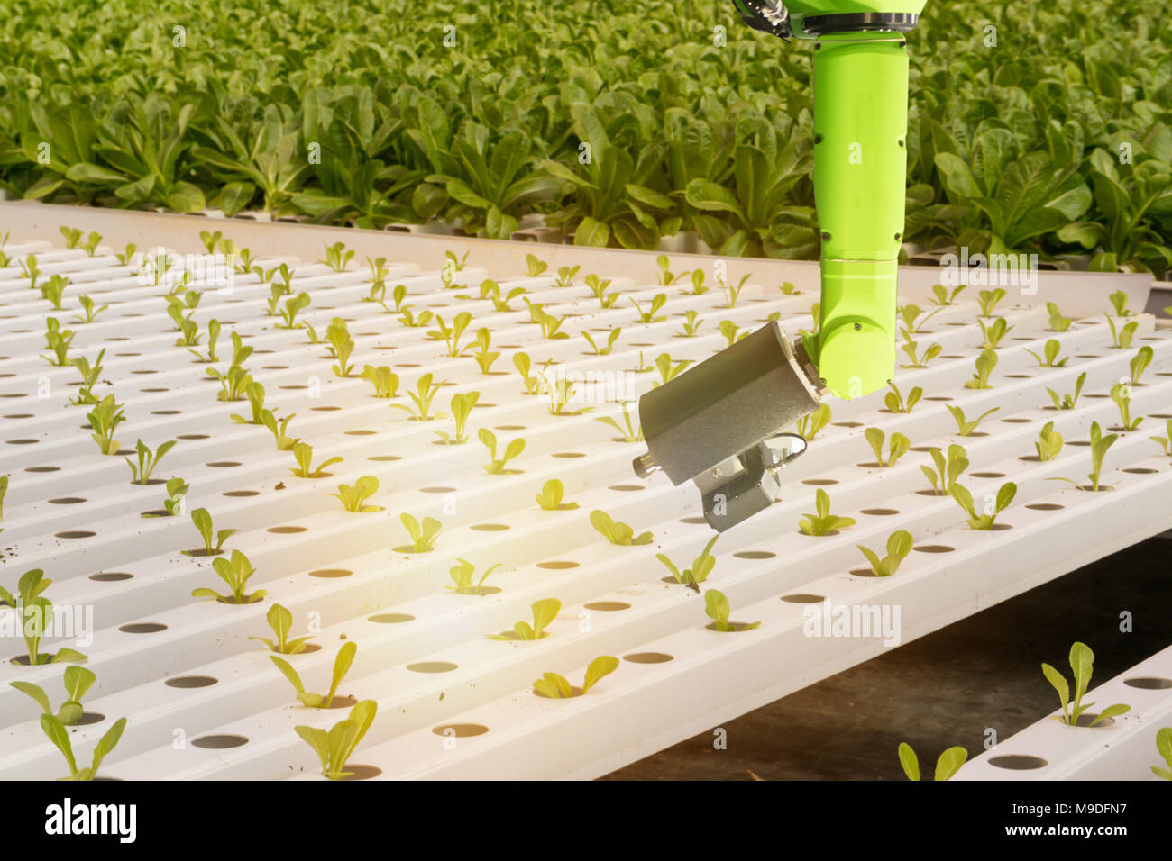 smart robotic in agriculture futuristic concept, robot farmers ...