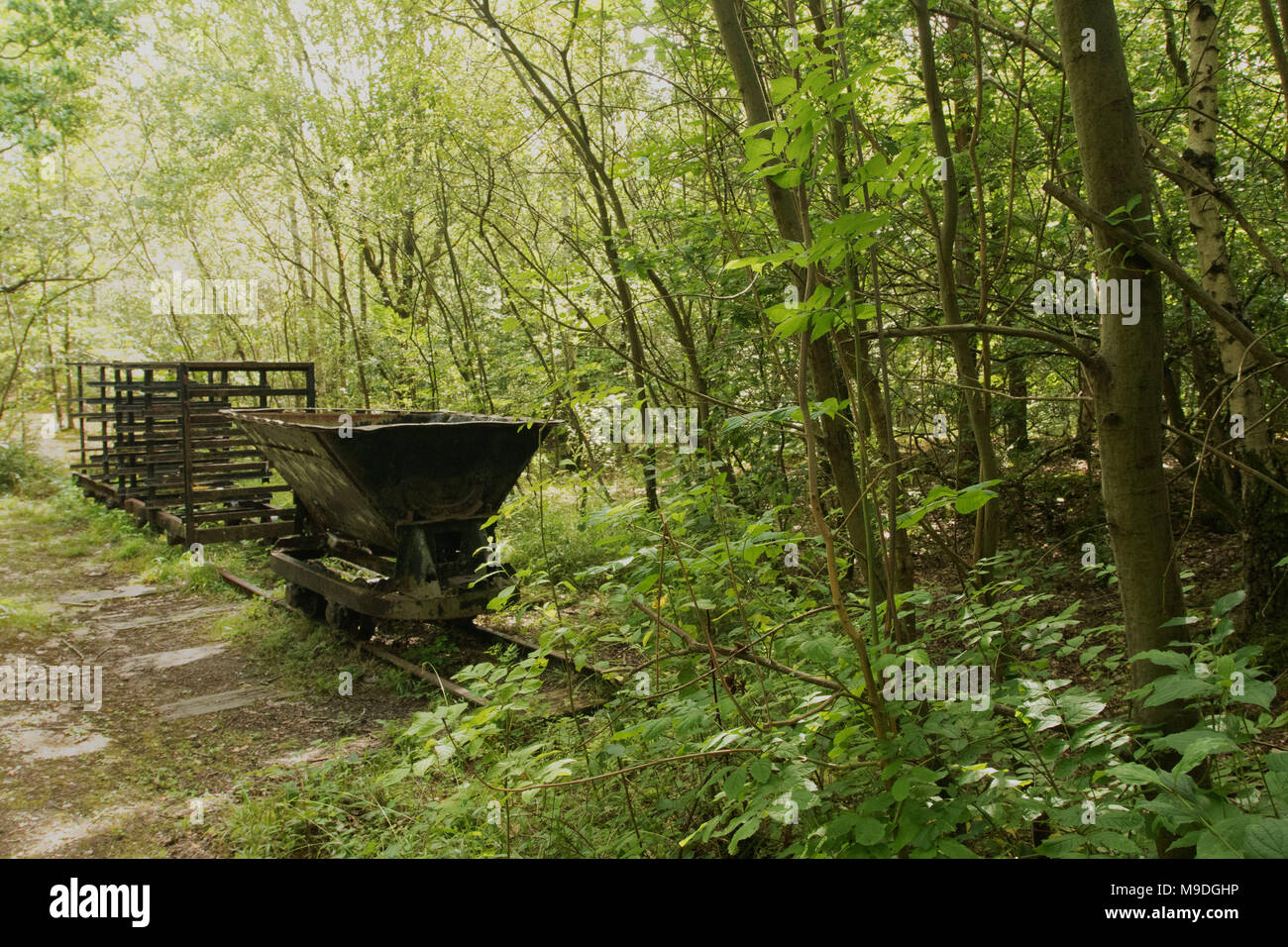 Historic rail wagons at the Bean country Park, Kent, England, United ...