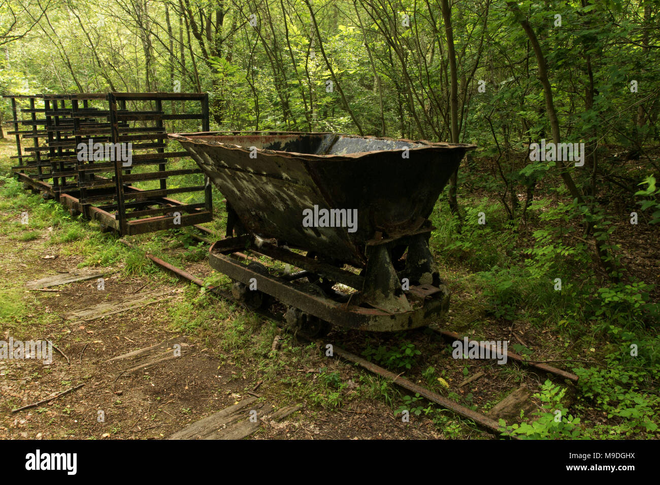 Historic rail wagons at the Bean country Park, Kent, England, United ...