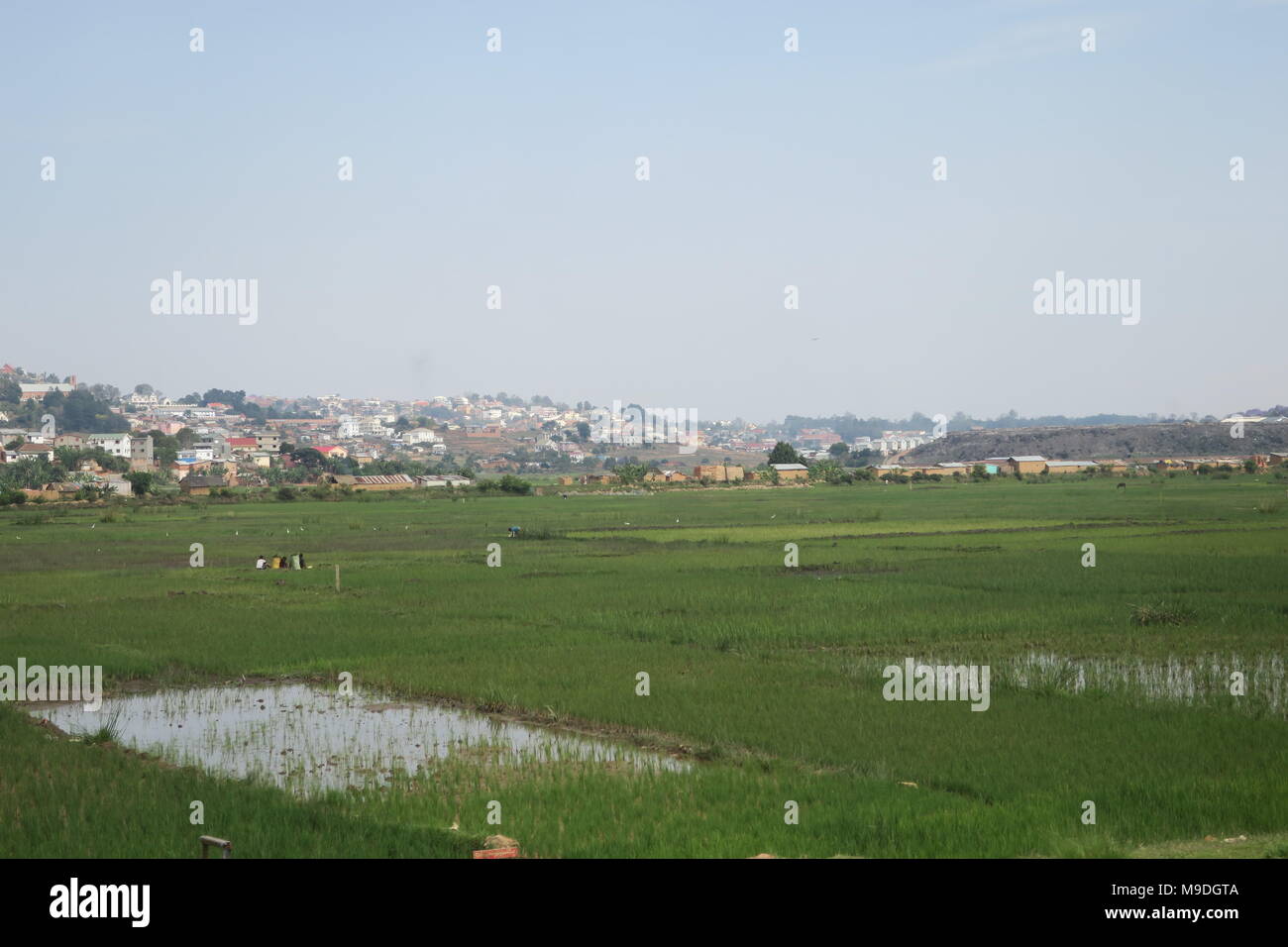 Colorful countryside of Madagascar island. Fresh field and grass ...