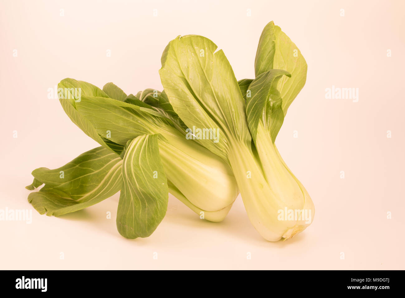 Pok-Choi or Bok-Choi Chinese cuisine vegetable against white background ...