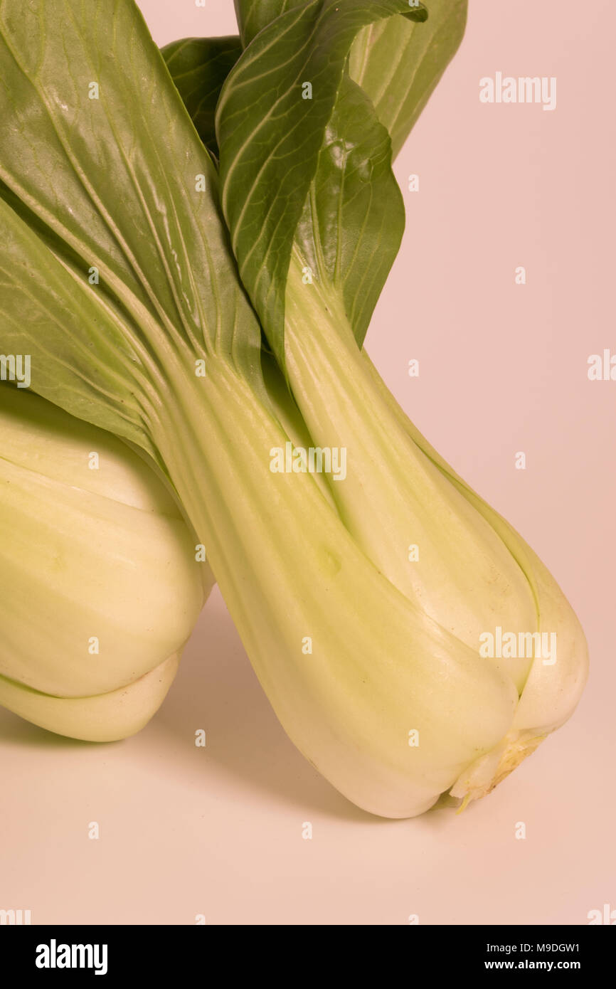 Pok-Choi or Bok-Choi Chinese cuisine vegetable against white background ...
