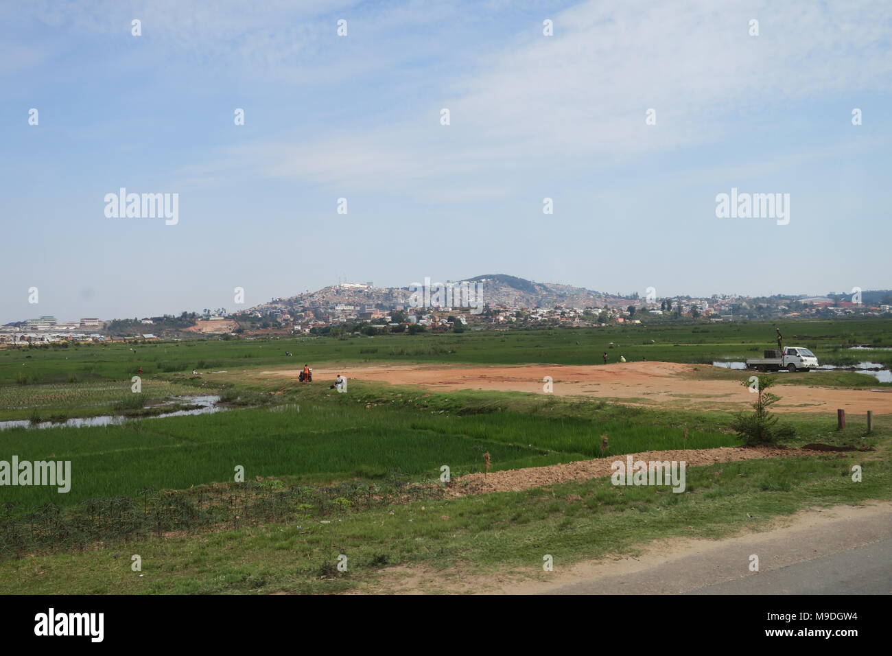Colorful countryside of Madagascar island. Fresh field and grass ...