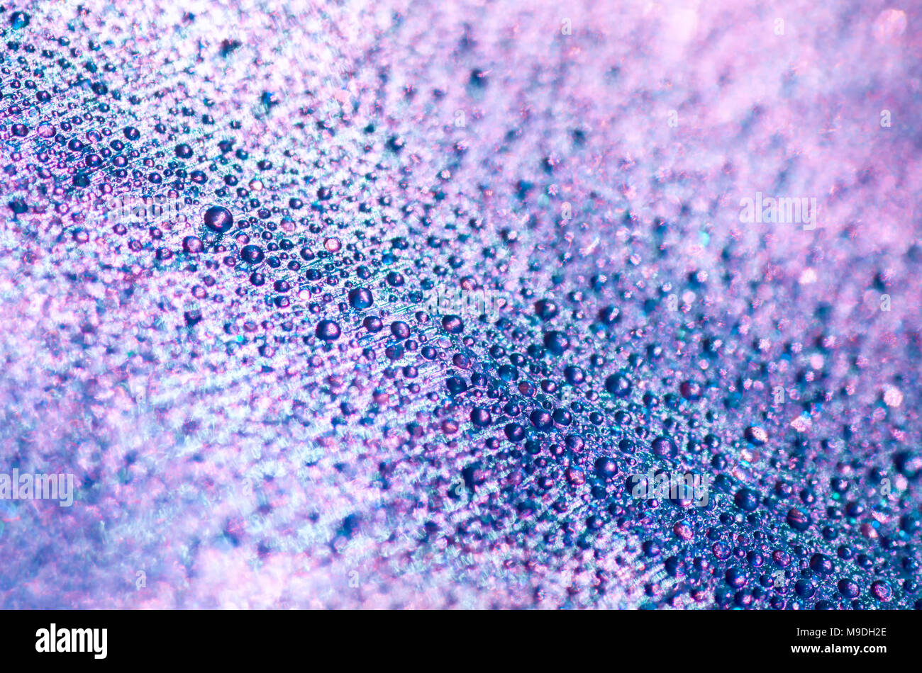 abstract background. Water droplets close-up. Wearing surface Stock ...