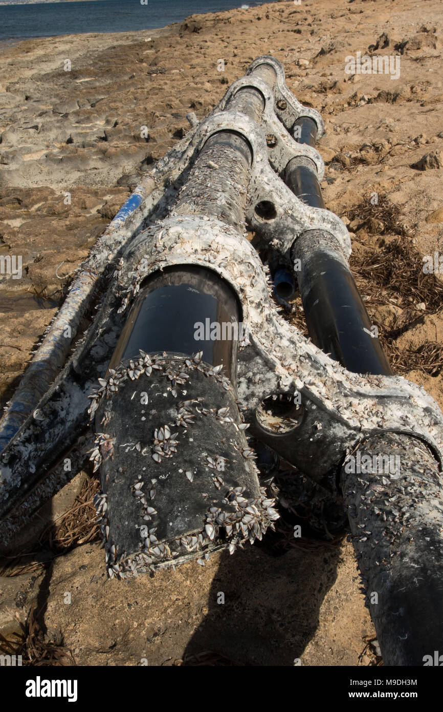 Large piece of plastic debris, environmental pollution, covered in ...