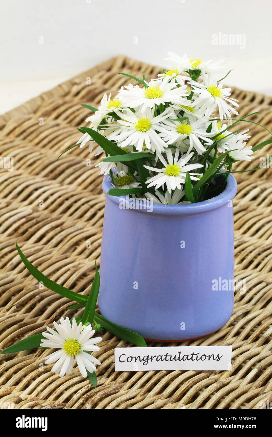 White daisy flowers hi-res stock photography and images - Alamy