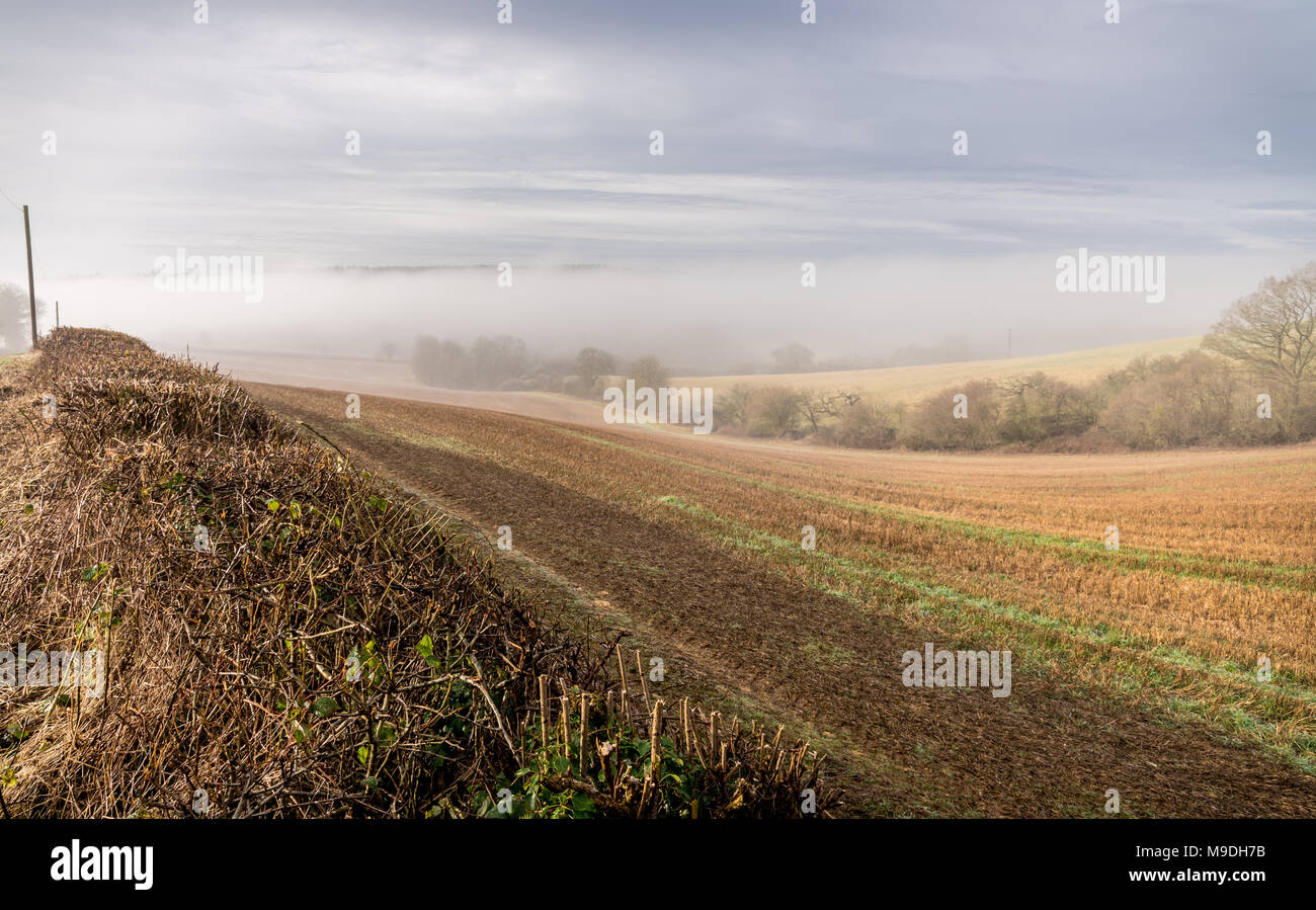 Rural misty scene hi-res stock photography and images - Alamy